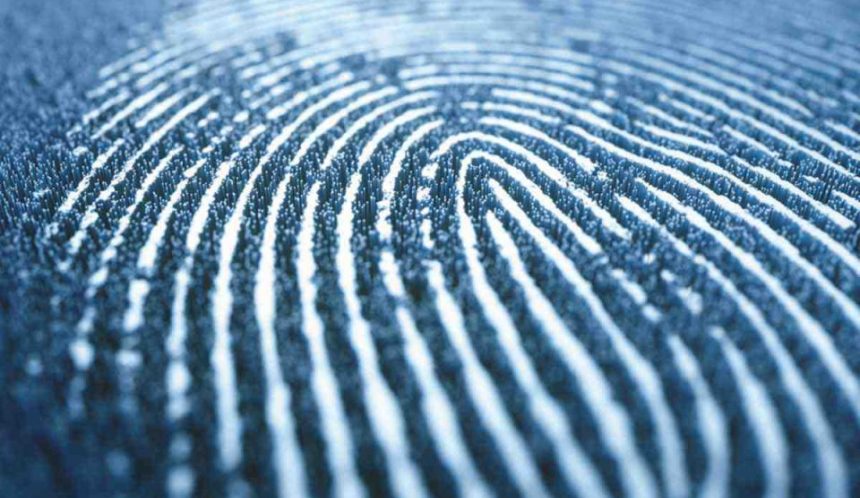 High-end Security Solutions – ECO3 Graphics Asia